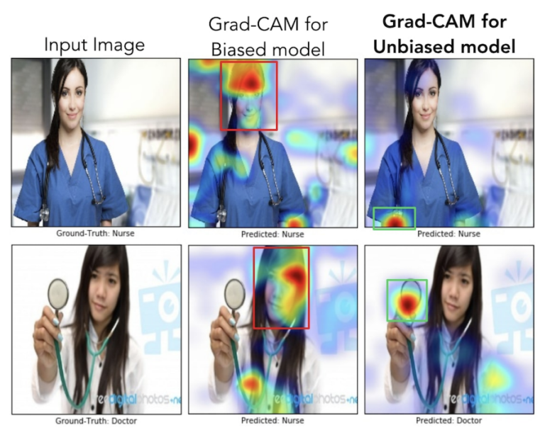深層学習の解釈手法Grad-CAM/Grad-CAM++/Score-CAMのご紹介 | Anagraft