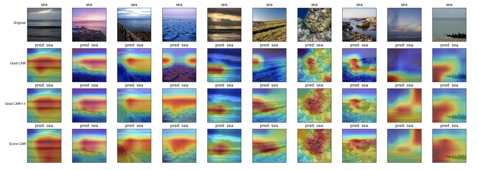 深層学習の解釈手法Grad-CAM/Grad-CAM++/Score-CAMのご紹介 | Anagraft